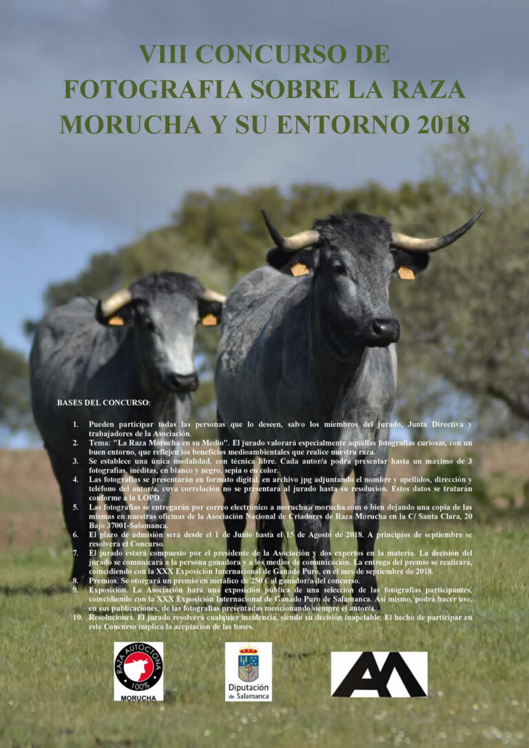 IX CONCURSO DE FOTOGRAFIA DE LA RAZA MORUCHA - Asociación Nacional de ...